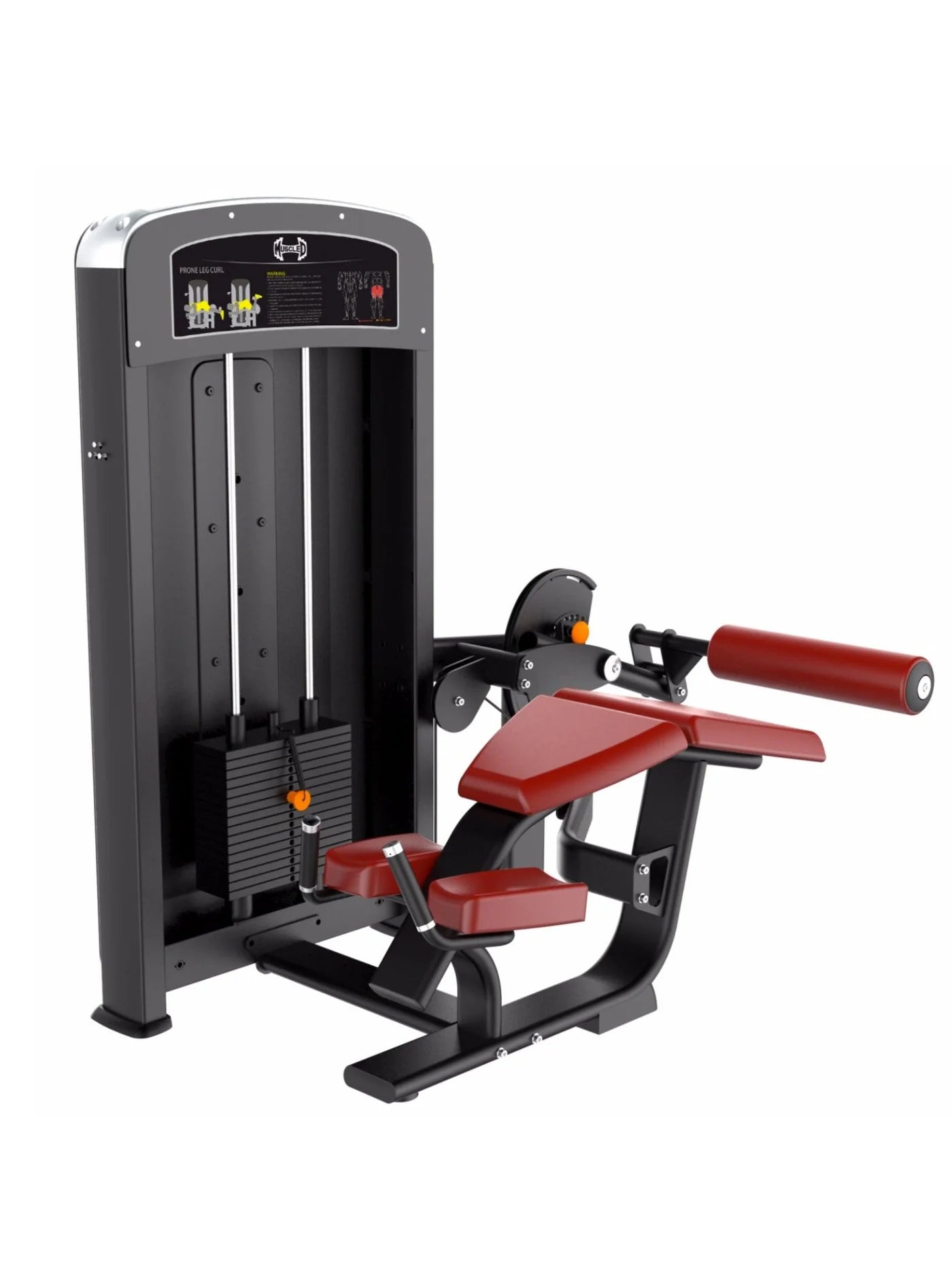 Muscle D Leg Curl Machine | American Fitness